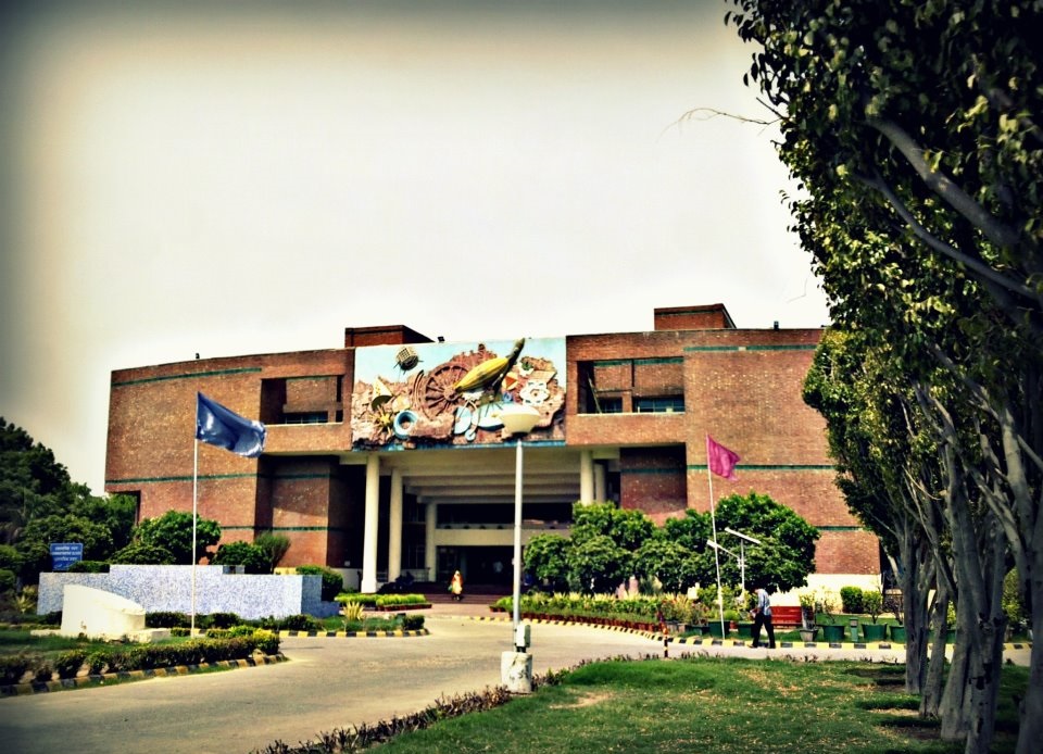 NSUT (NSIT): Cutoff, Admission 2024, Fees, Placements, Courses