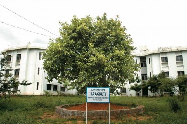 IIIT Hyderabad: Fees, Admission 2025, Courses, Cutoff, Ranking, Placement