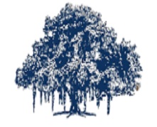 IIIT Hyderabad Placement 2025: Highest Package, Average Package, Top ...