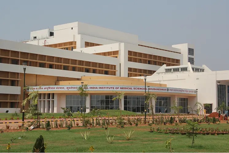 AIIMS Bhubaneswar Admission 2022 Open for Post Doctoral Fellowship (PDF ...