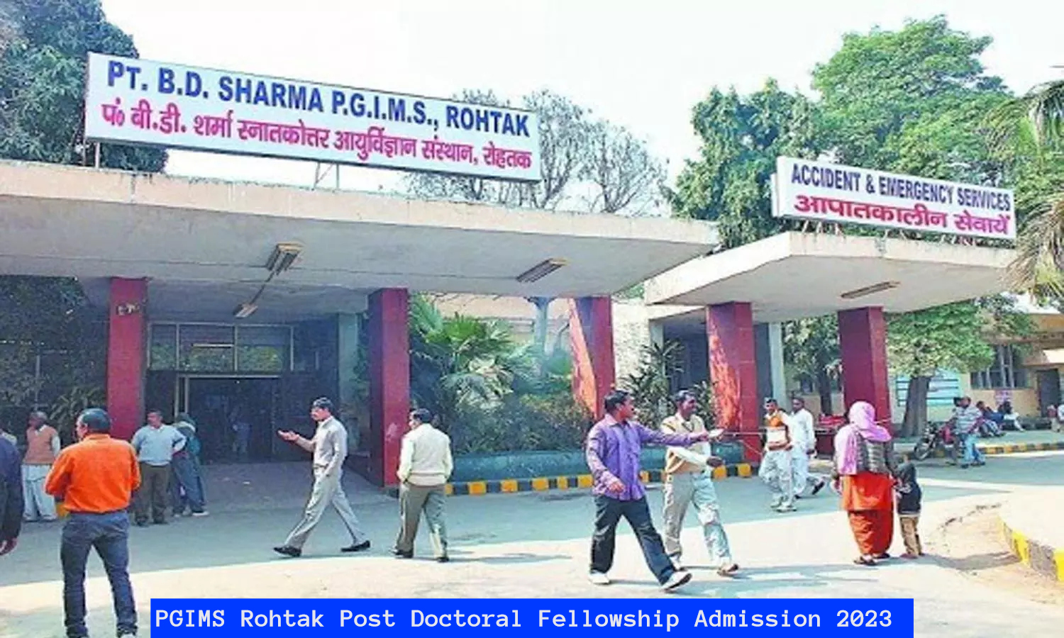 PGIMS Rohtak Post Doctoral Fellowship Admission 2023 Open; Apply Till ...