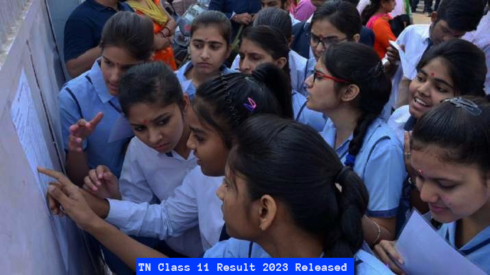 TN Class 11 Result 2023 Released; Check Direct Link Here