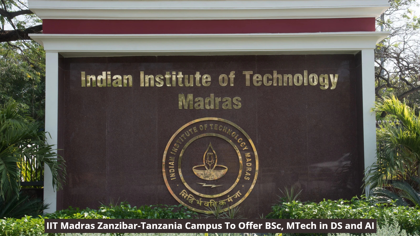 IIT Madras Zanzibar-Tanzania Campus To Offer BSc, MTech in Data Science and AI; Check Details Here