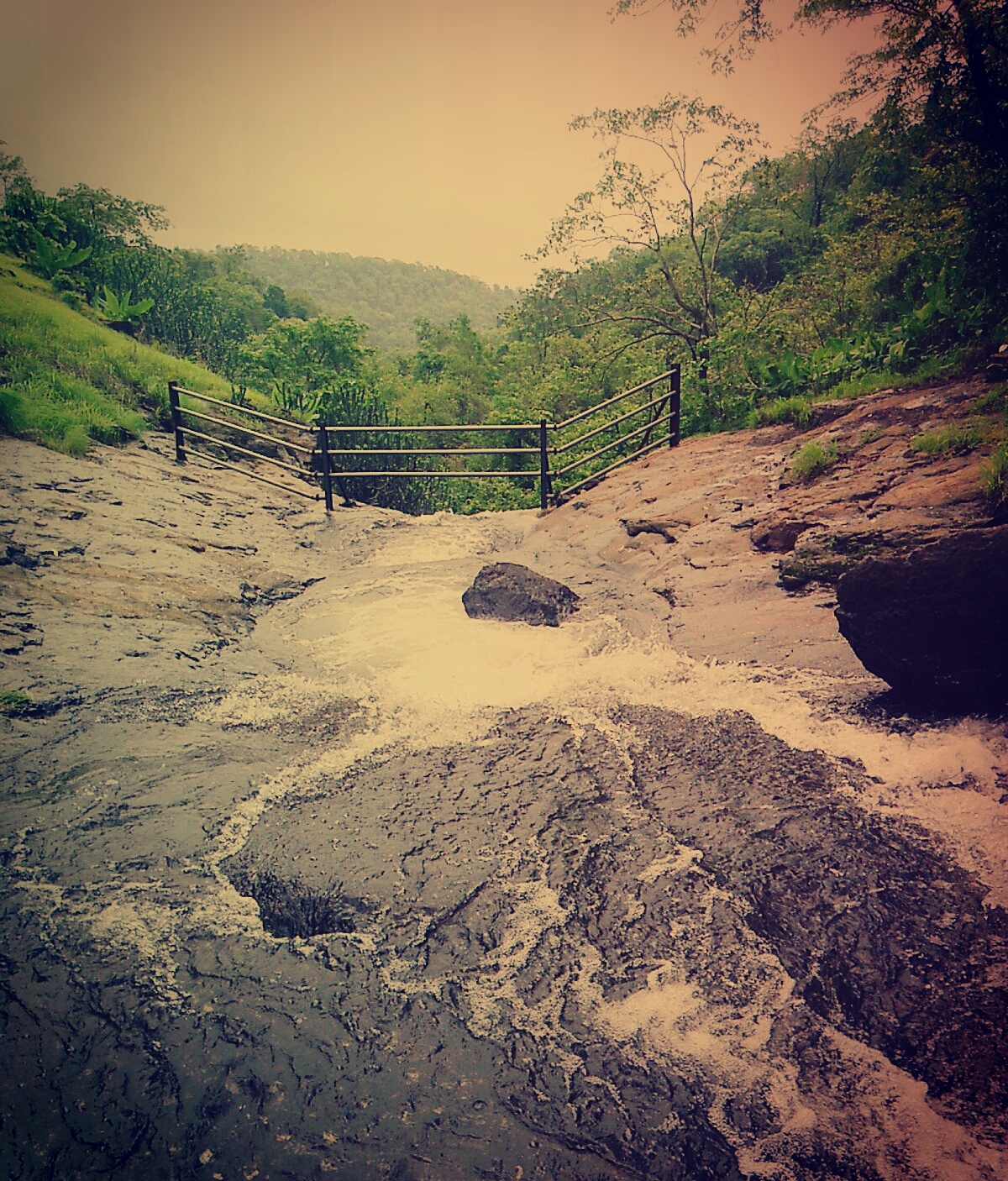 Vidhita Suresh Pathak's Review On Vidyalankar Institute Of Technology ...