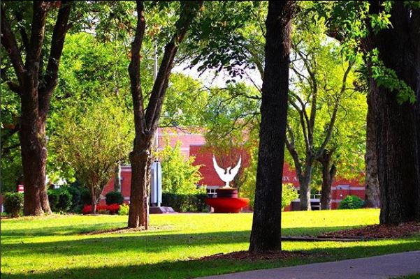 Cumberland University: Admissions 2025, Scholarships, Fees 2025 ...