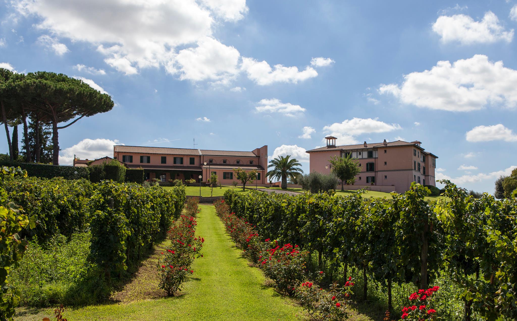 University of Dallas: Admissions 2025, Scholarships, Fees 2025 ...