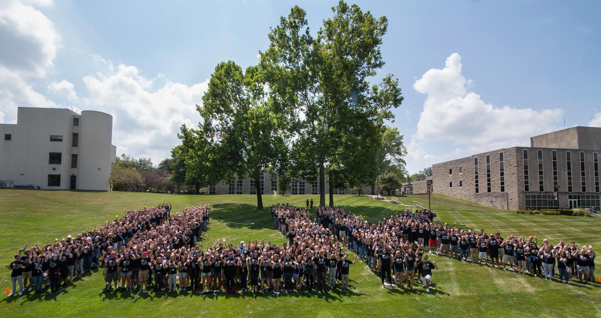 Indiana University Kokomo Programs: Tuition fees, Ranking, Scholarships ...