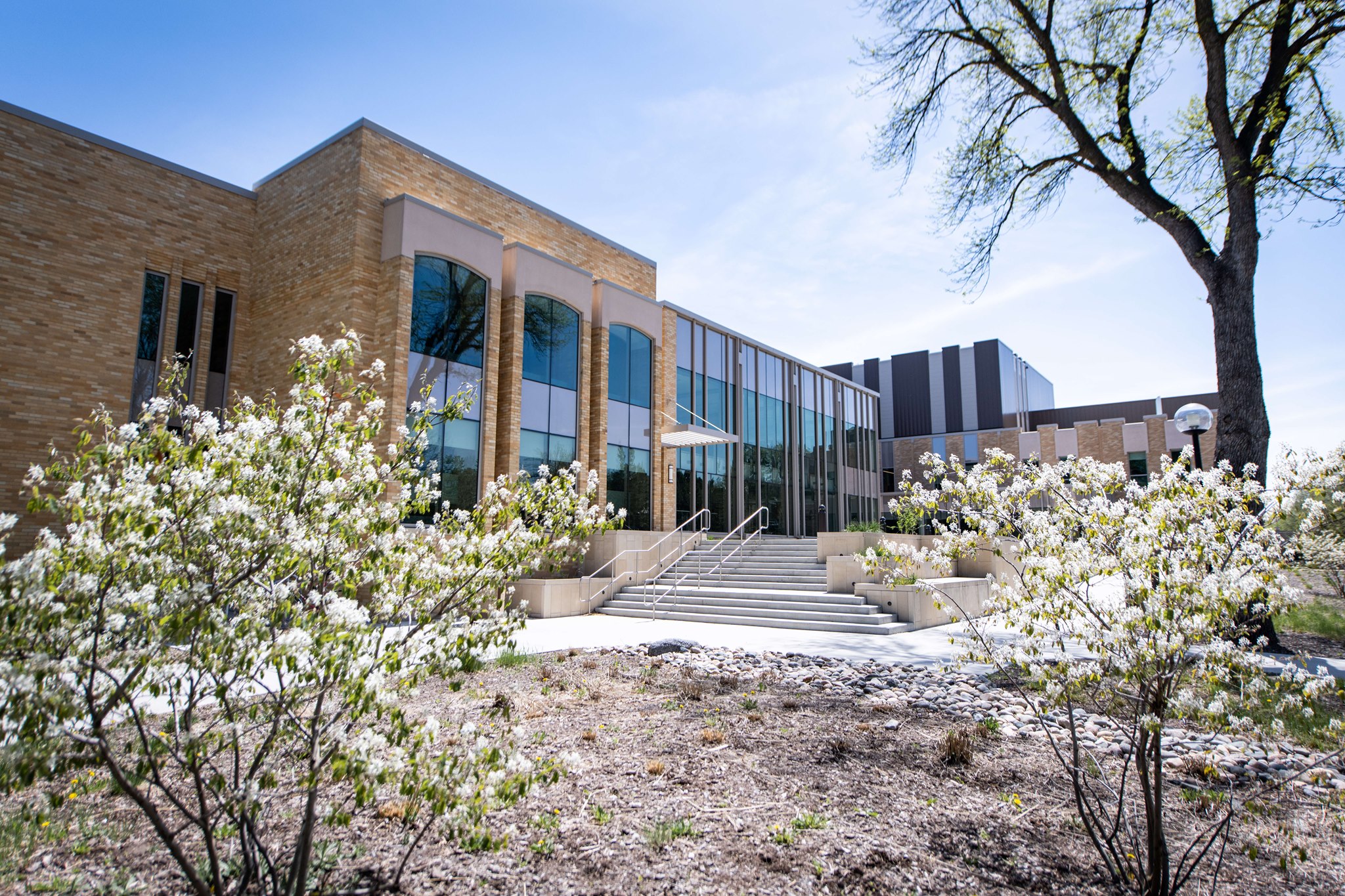 Concordia College Admissions: Acceptance Rate, Requirements, Deadlines ...