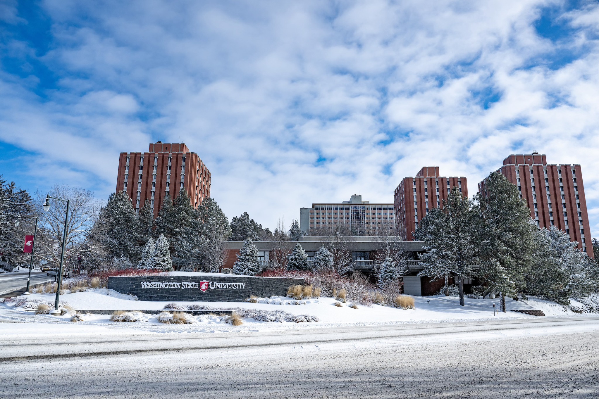 Washington State University Admissions: 2025 Deadlines & Acceptance Rate