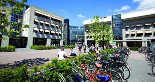 Breda University of Applied Sciences: Rankings, Courses, Admissions ...