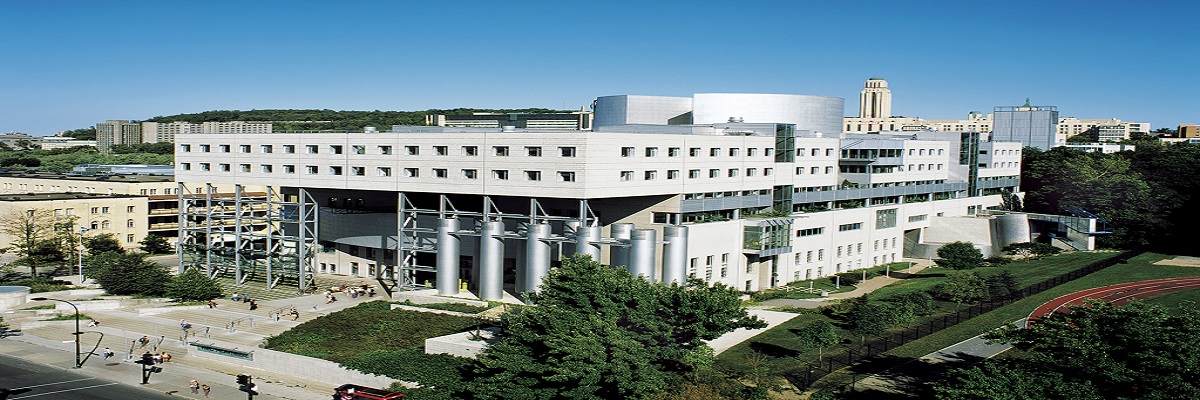 HEC Montreal: Rankings, Courses, Fees, Campus, Admissions 2024 ...
