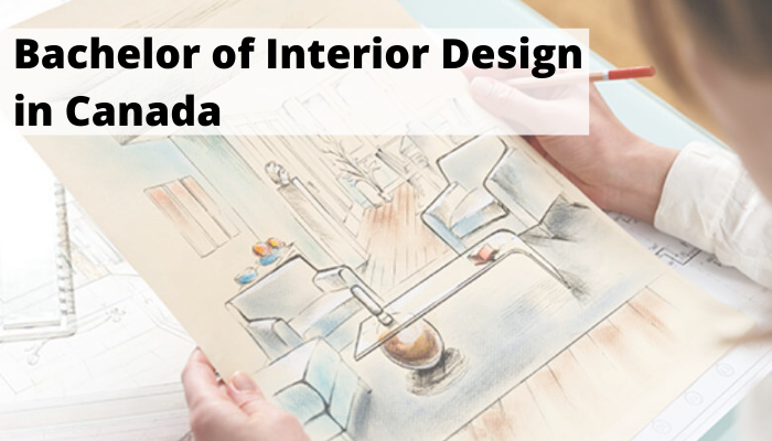 Bachelor of Interior Design in Canada- Top Universities, Application ...