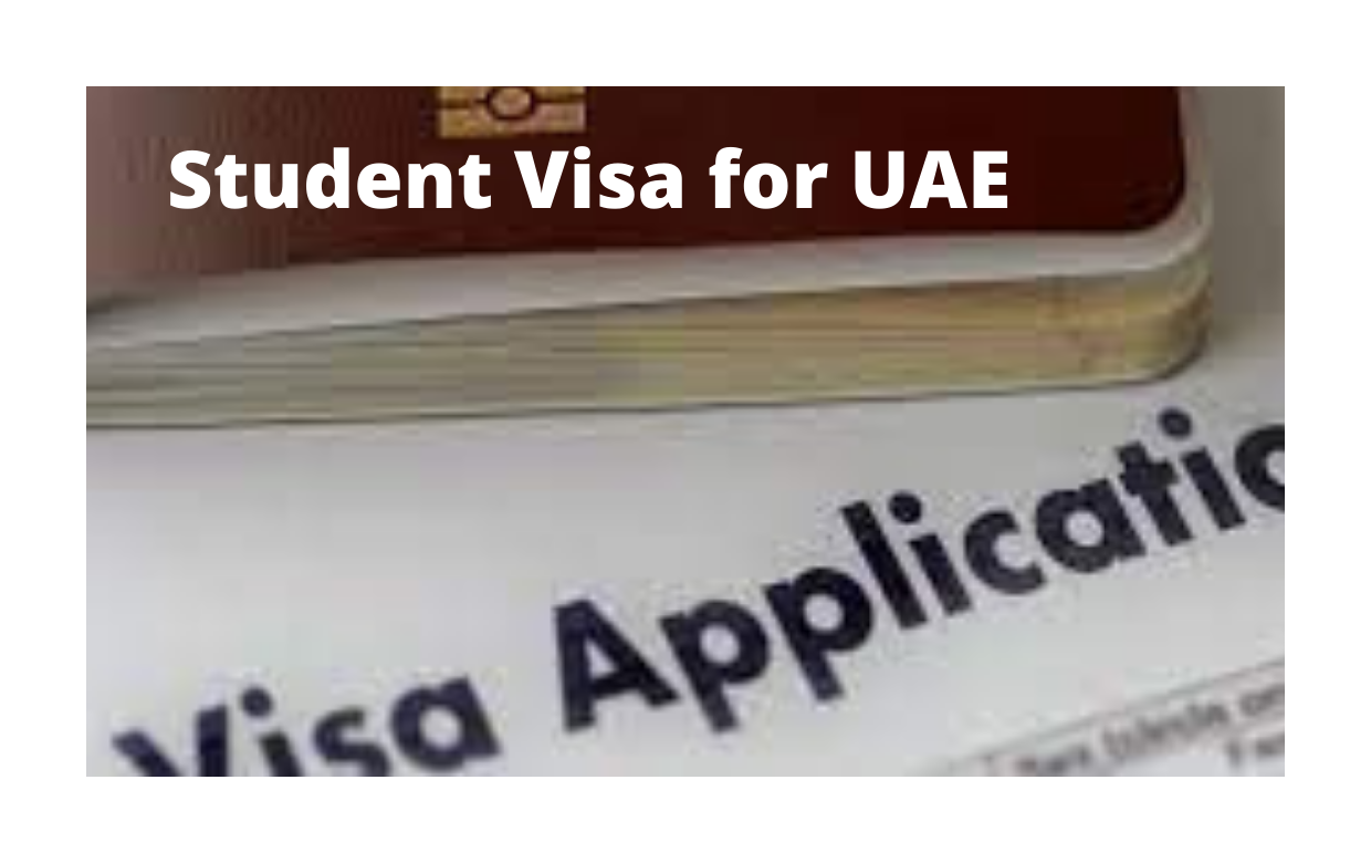 Dubai Study Visa: Types, Fees & Application Requirements