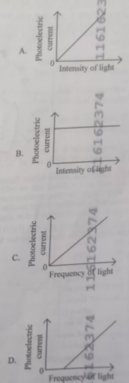 NEET 2025 Physics Question Paper (Available): Download NEET 2025 Answer ...