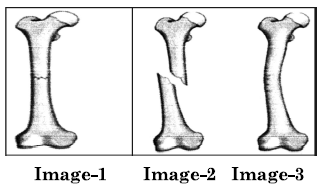 CBSE Class 12 Physical Education Question Paper 2024 Available ...
