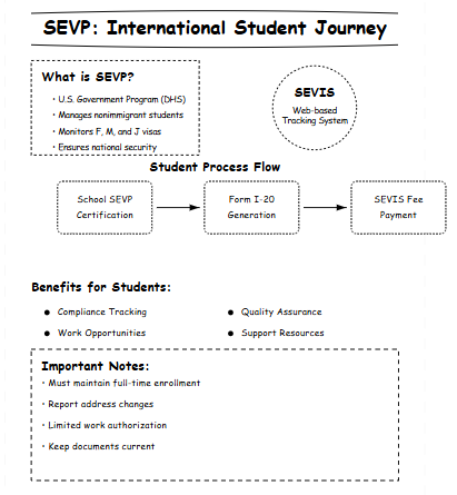 What is SEVP? Benefits, SEVIS Fees, and Tips for Students