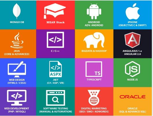 CIIT Training Institute Pune: Contact Number, Fees, Reviews, Courses