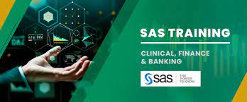 SAS Training Center, Pune: SAS Programming Certification Fast Track ...