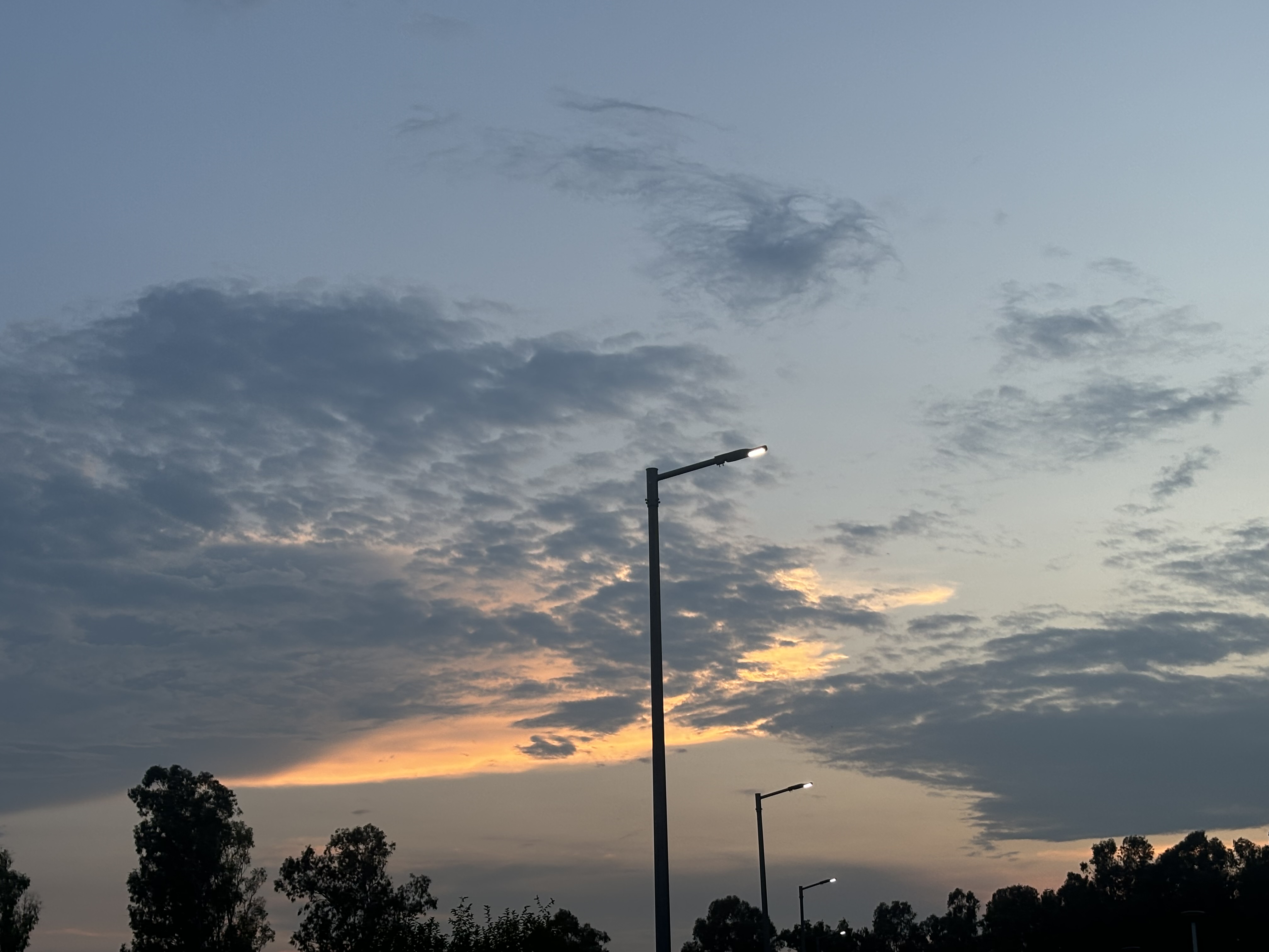 IIT Ropar Cutoff 2025: Check Category and Year-wise Cutoff