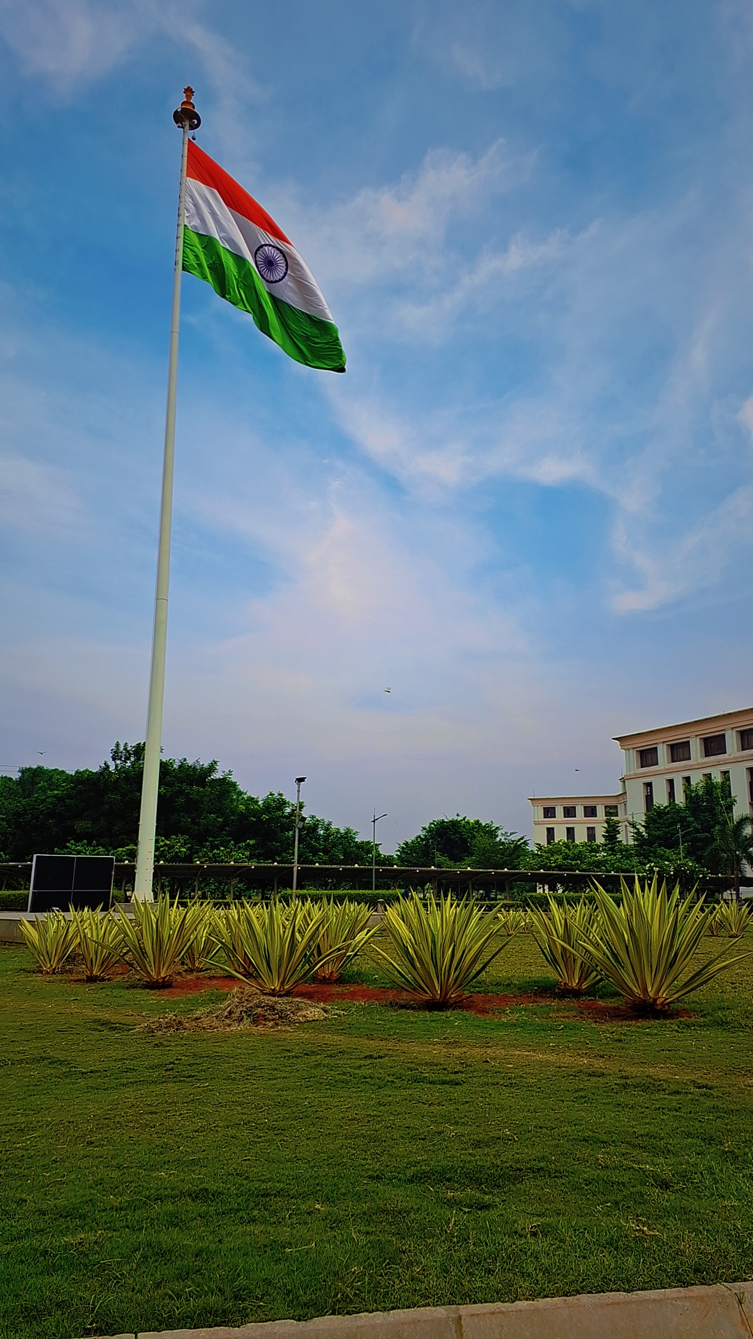 VIT AP: Fees, Admission 2025, Courses, Cutoff, Ranking, Placement