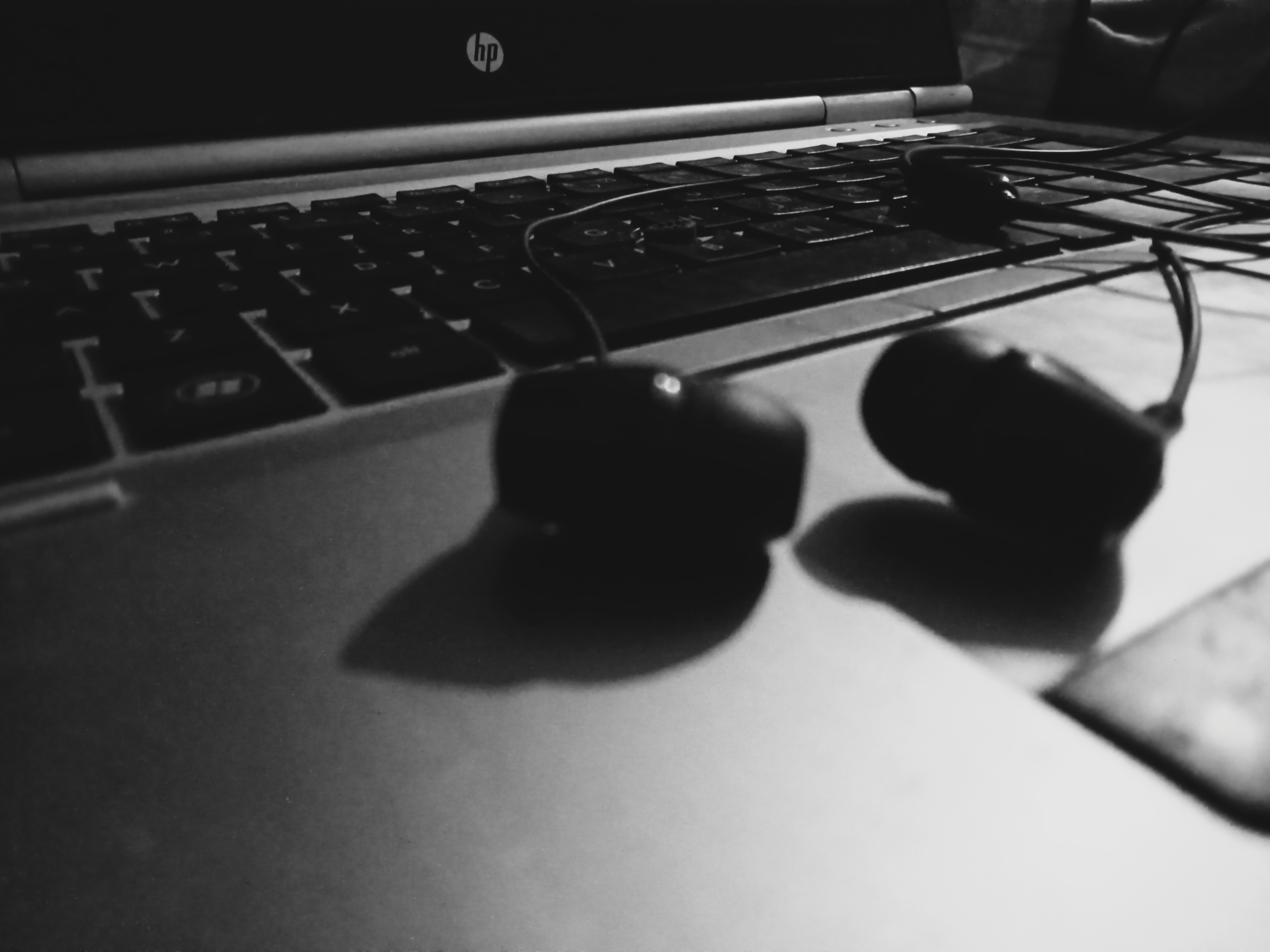 MSU Baroda M.Sc: Fees 2025, Course Duration, Dates, Eligibility