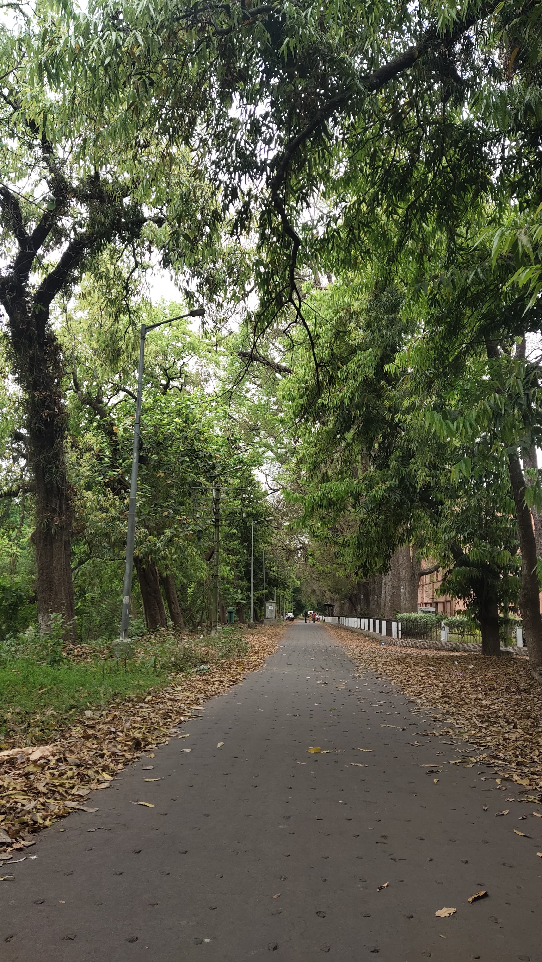 University of Burdwan Bardhaman Courses & Fees 2025