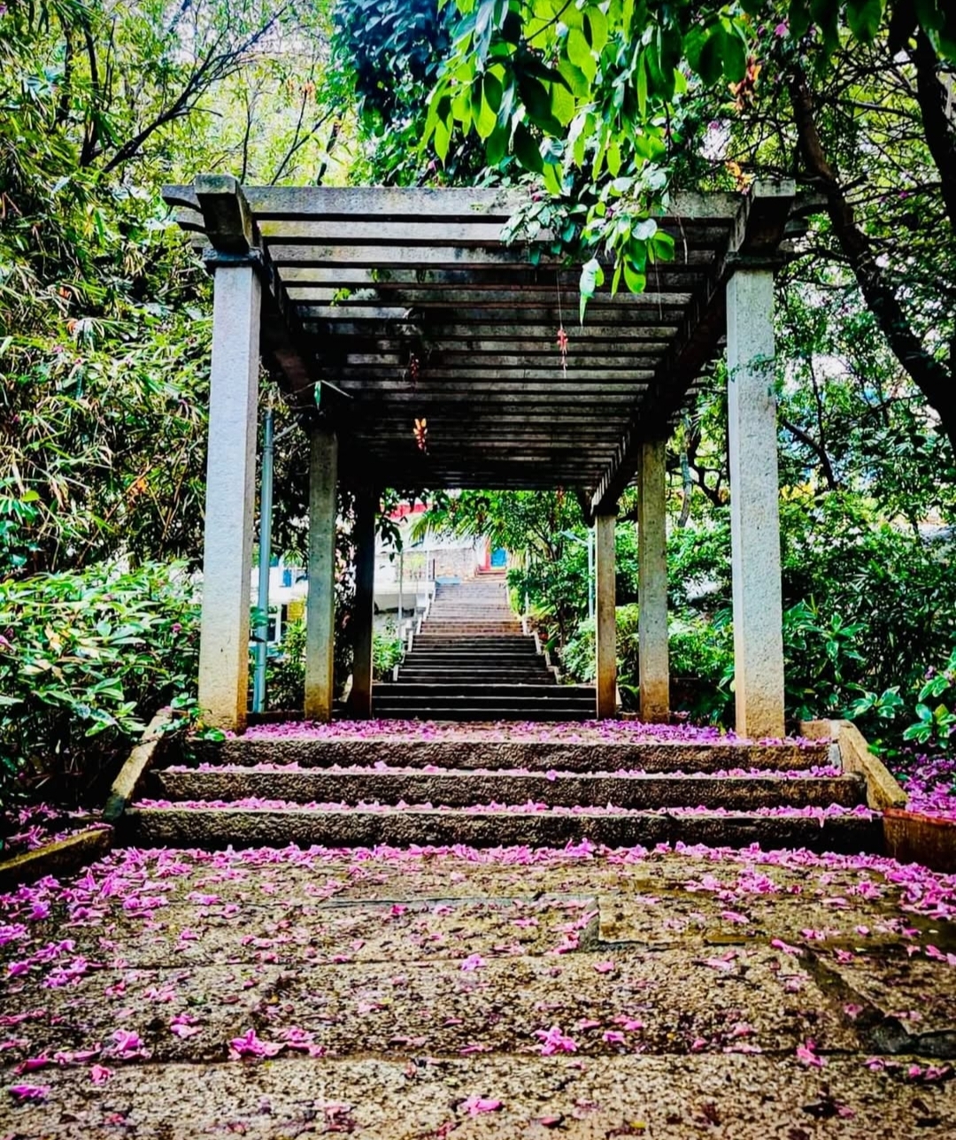 DSCE Bangalore Placement 2025: Highest Package, Average Package, Top ...