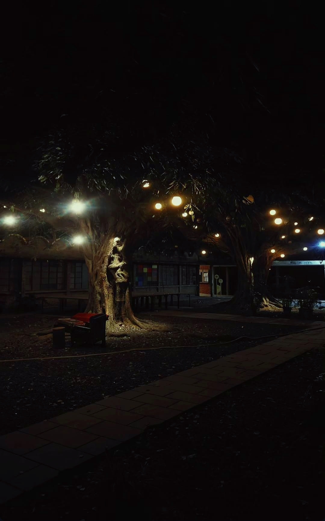 AMU: Admission 2025, Courses, Fees, Cutoff, Ranking, Scholarship, Placement