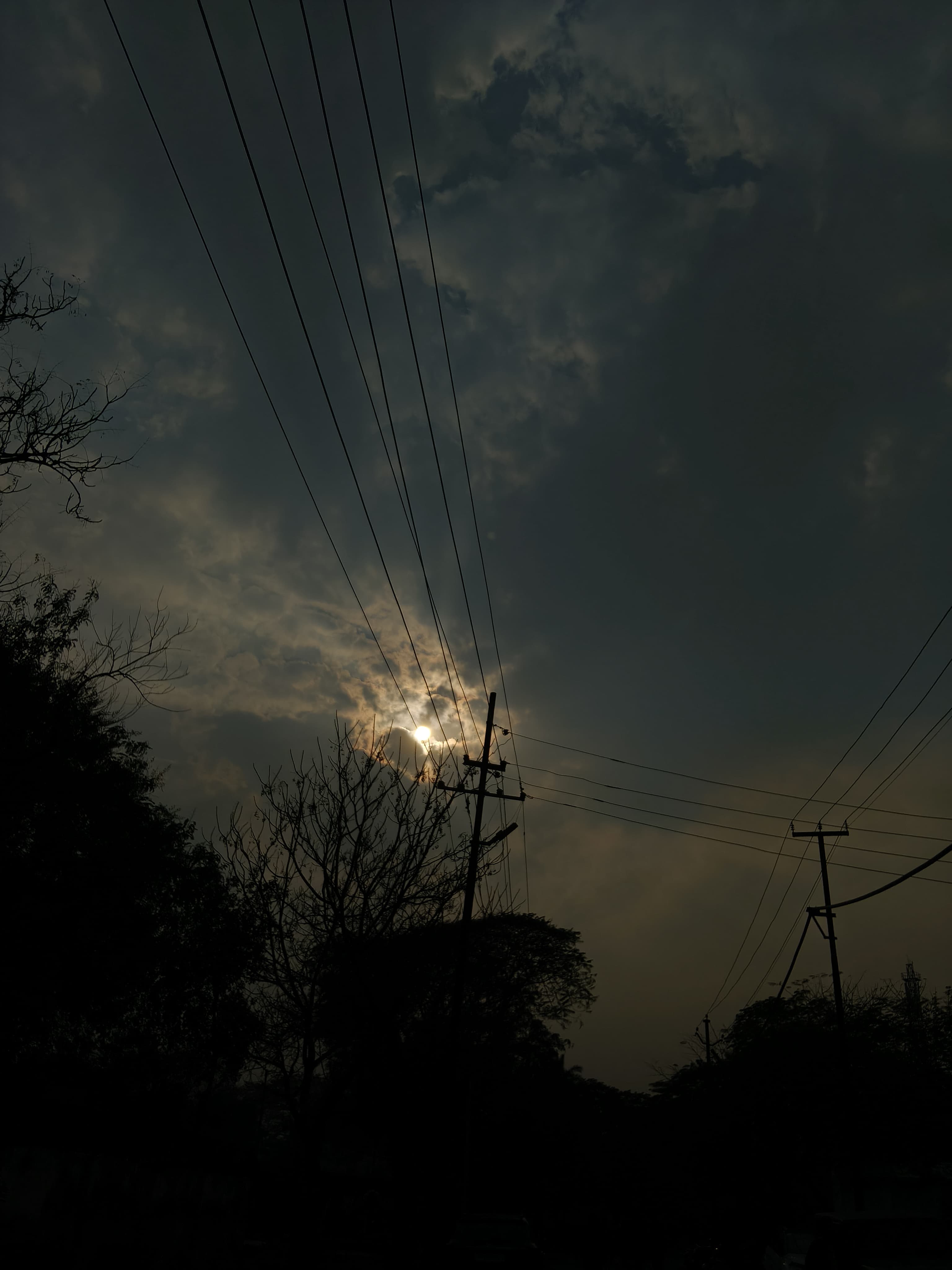 AMU B.Com {Hons.} : Fees 2025, Course Duration, Dates, Eligibility