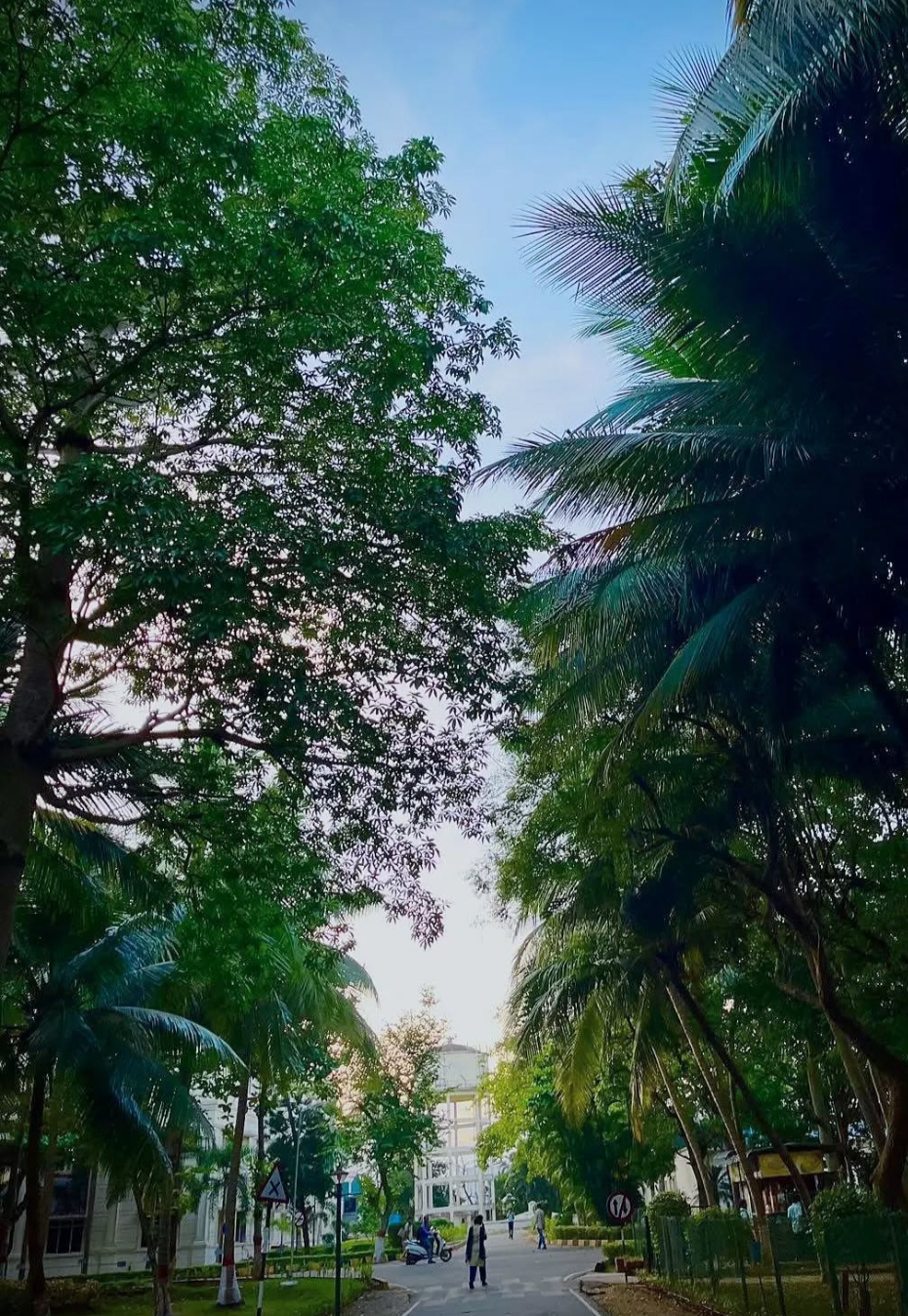 GMR Institute of Technology - [GMRIT], Rajam Courses & Fees 2025-2026