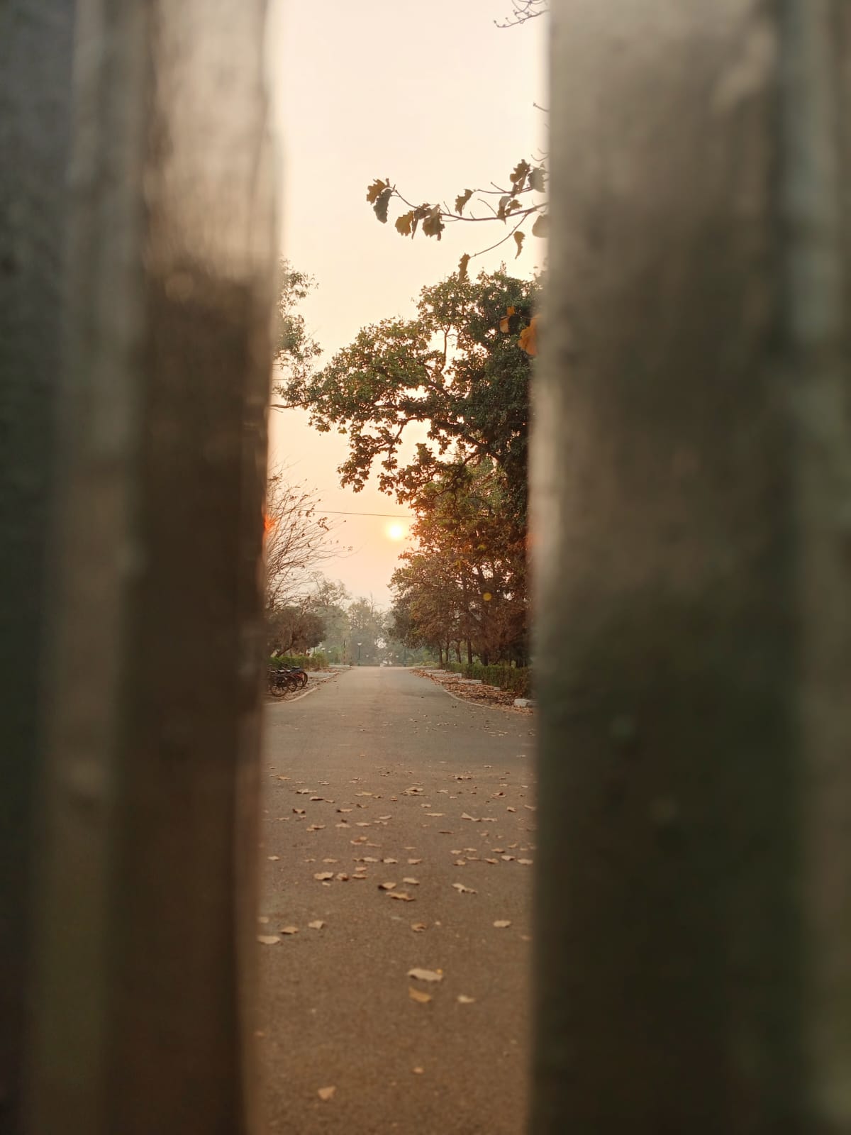 BIT Mesra Courses & Fees 2025