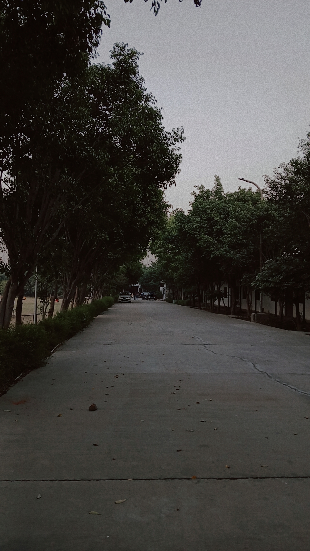 GLA University Mathura Ranking 2025: Check Year-wise National Rankings Here