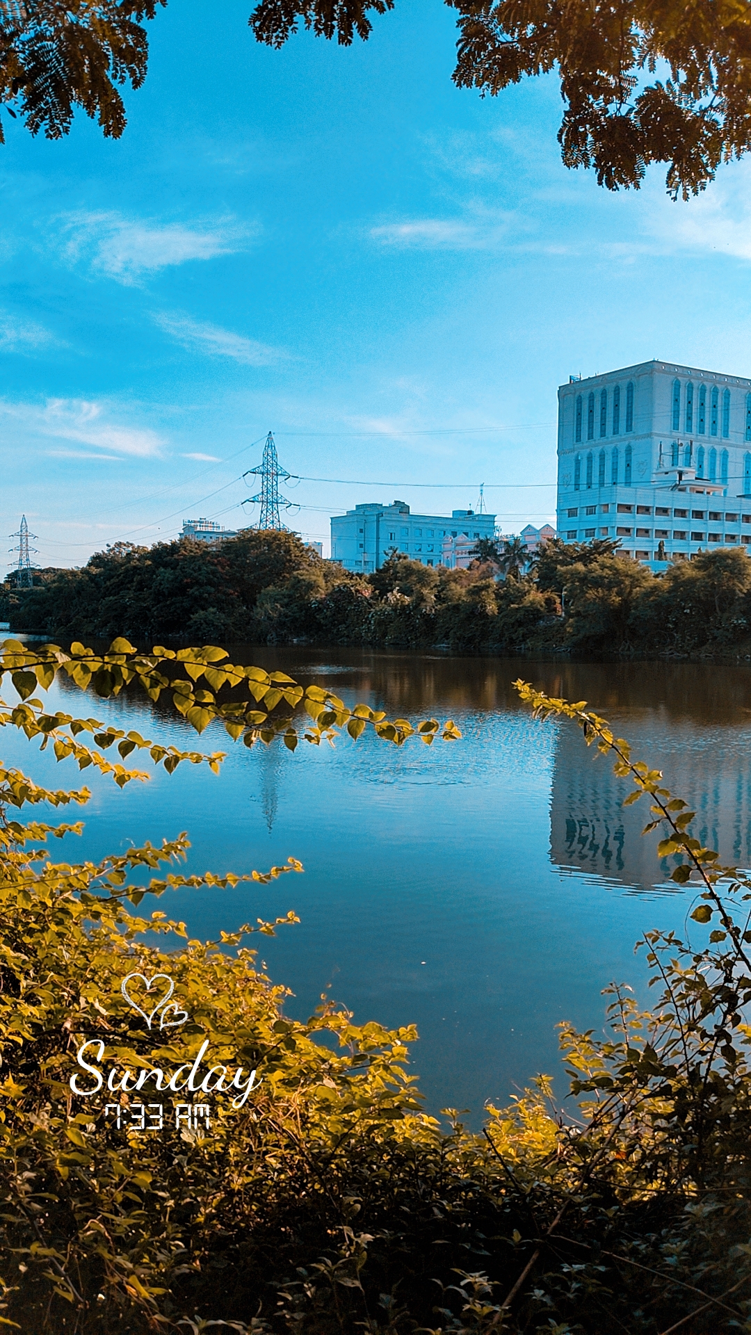 SRM University Chennai MCA : Fees 2025, Course Duration, Dates, Eligibility