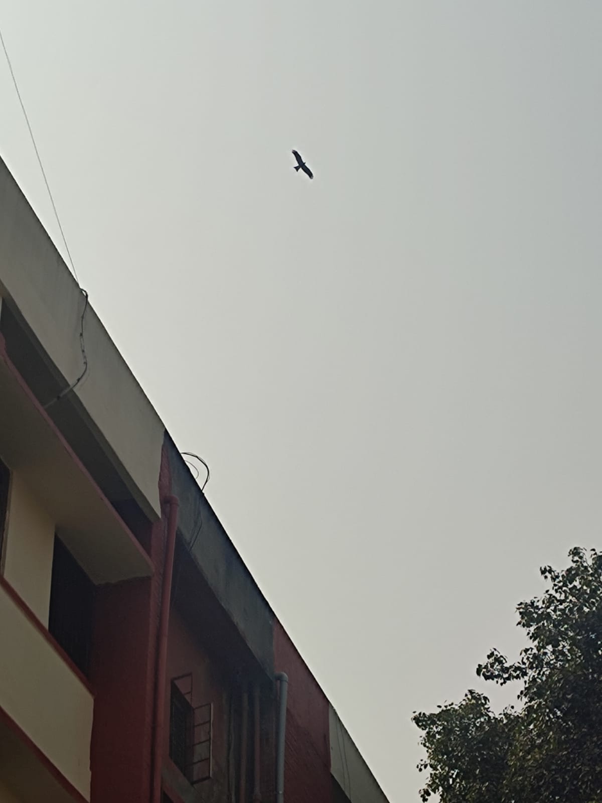 Delhi University MA Psychology 2024: Admission, Fees, Eligibility ...