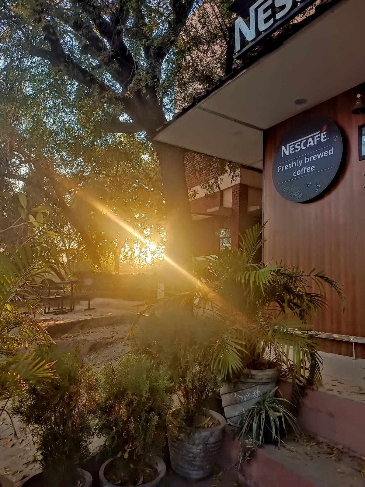 Delhi University Ranking 2025: Check Year-wise National Rankings Here