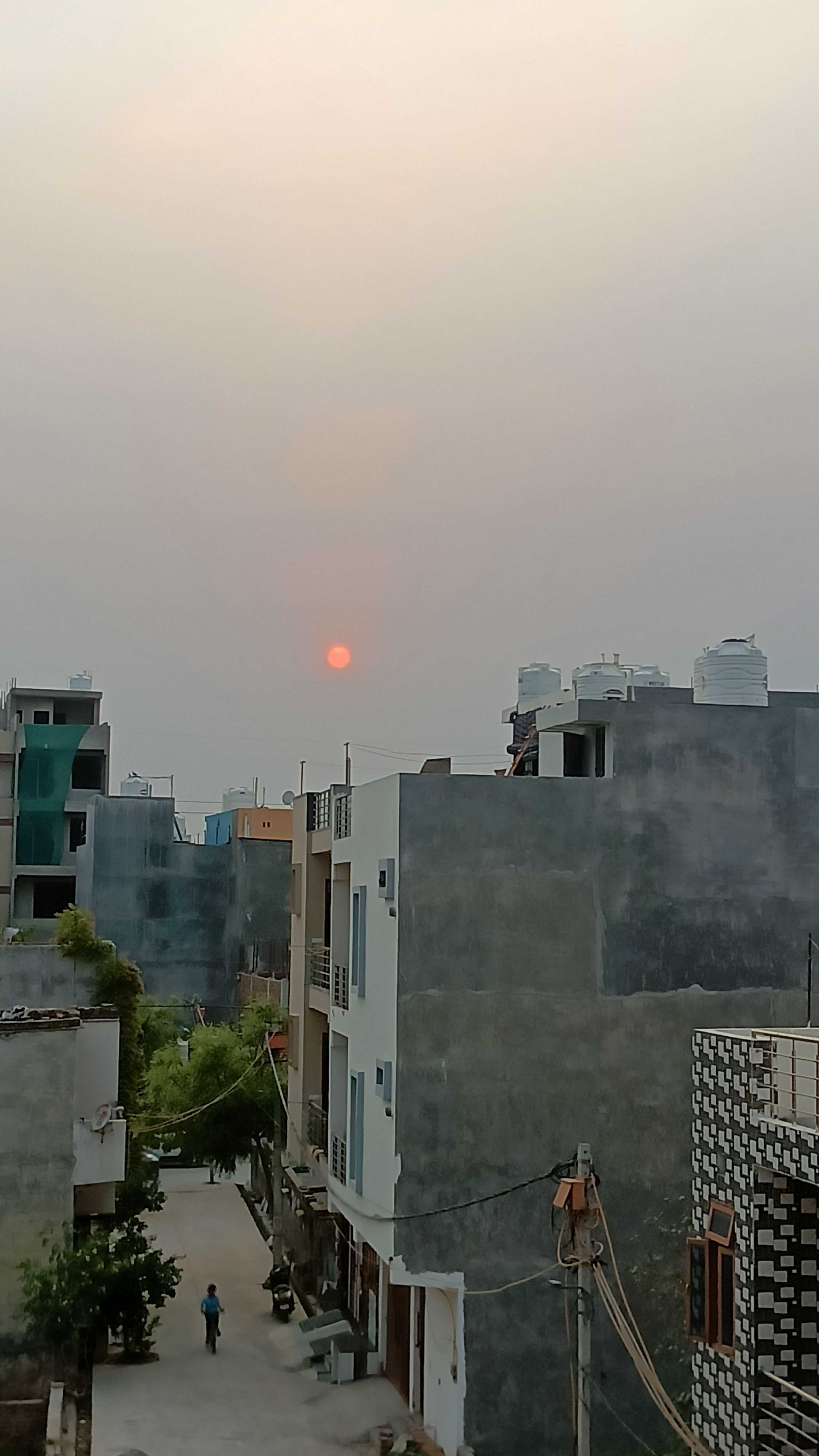 Delhi University (DU) Result 2024 (Released) durslt.du.ac.in: Download ...