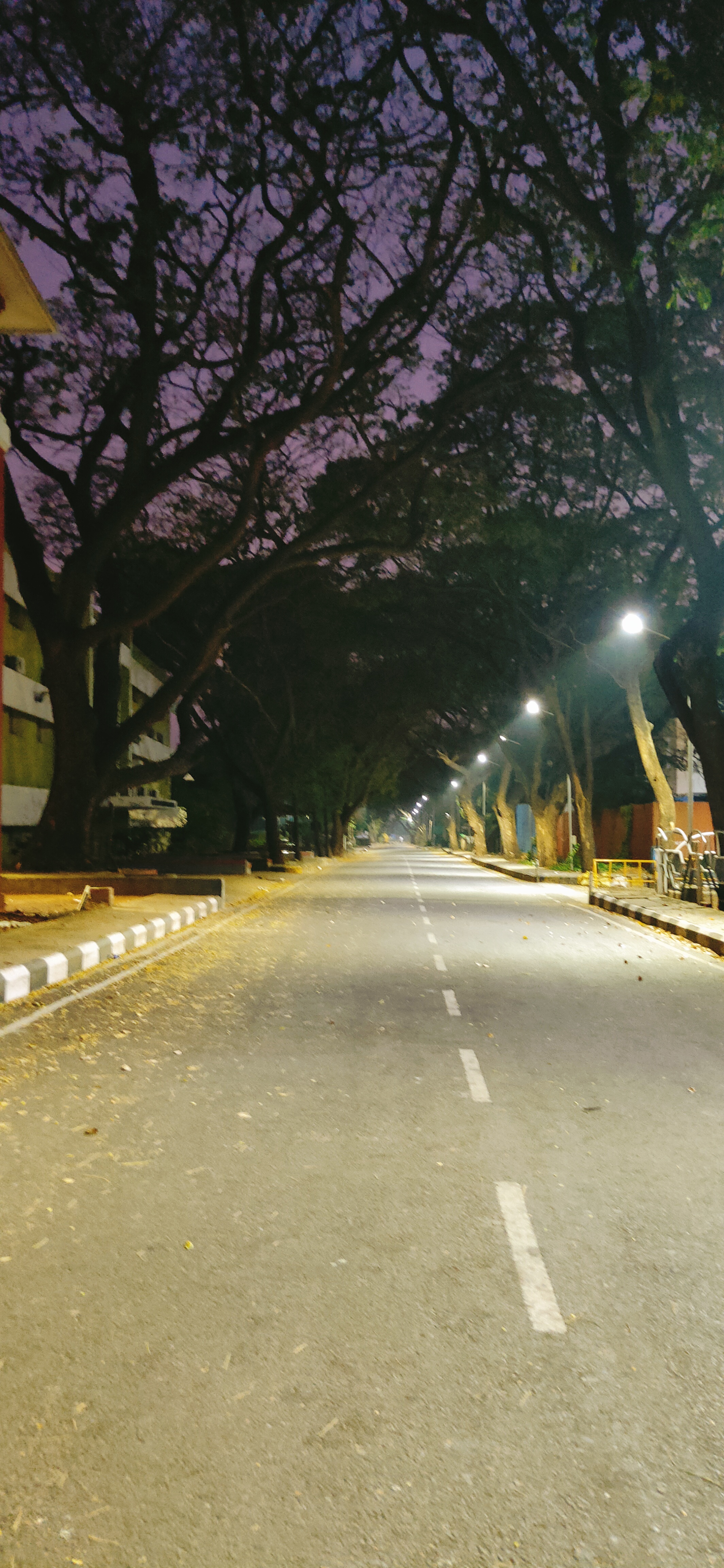 CEG Guindy: Fees, CEG Guindy: Courses, Fees, Admissions 2025 ...