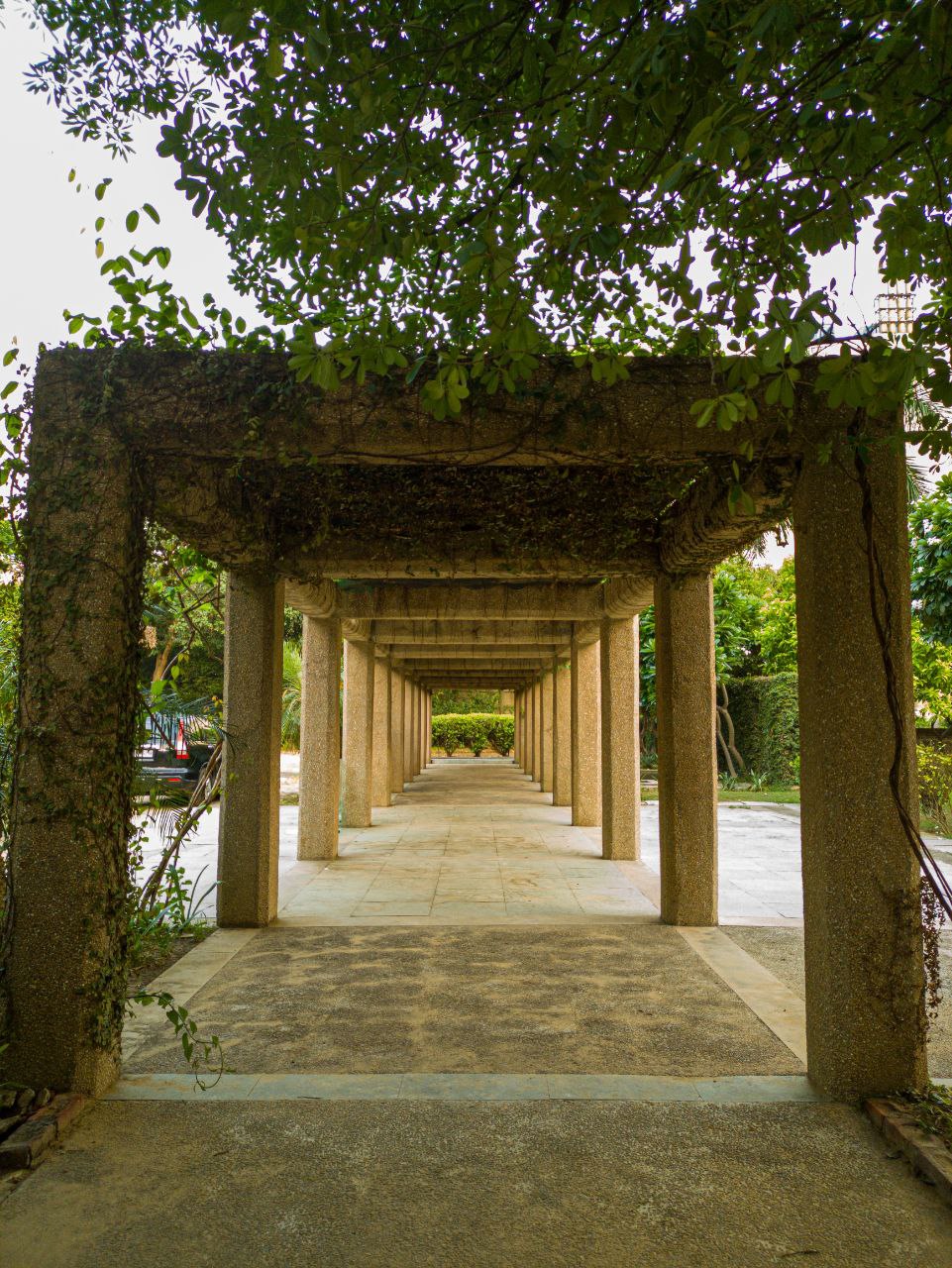 IILM University Gurgaon Placement 2025: Highest Package, Average ...