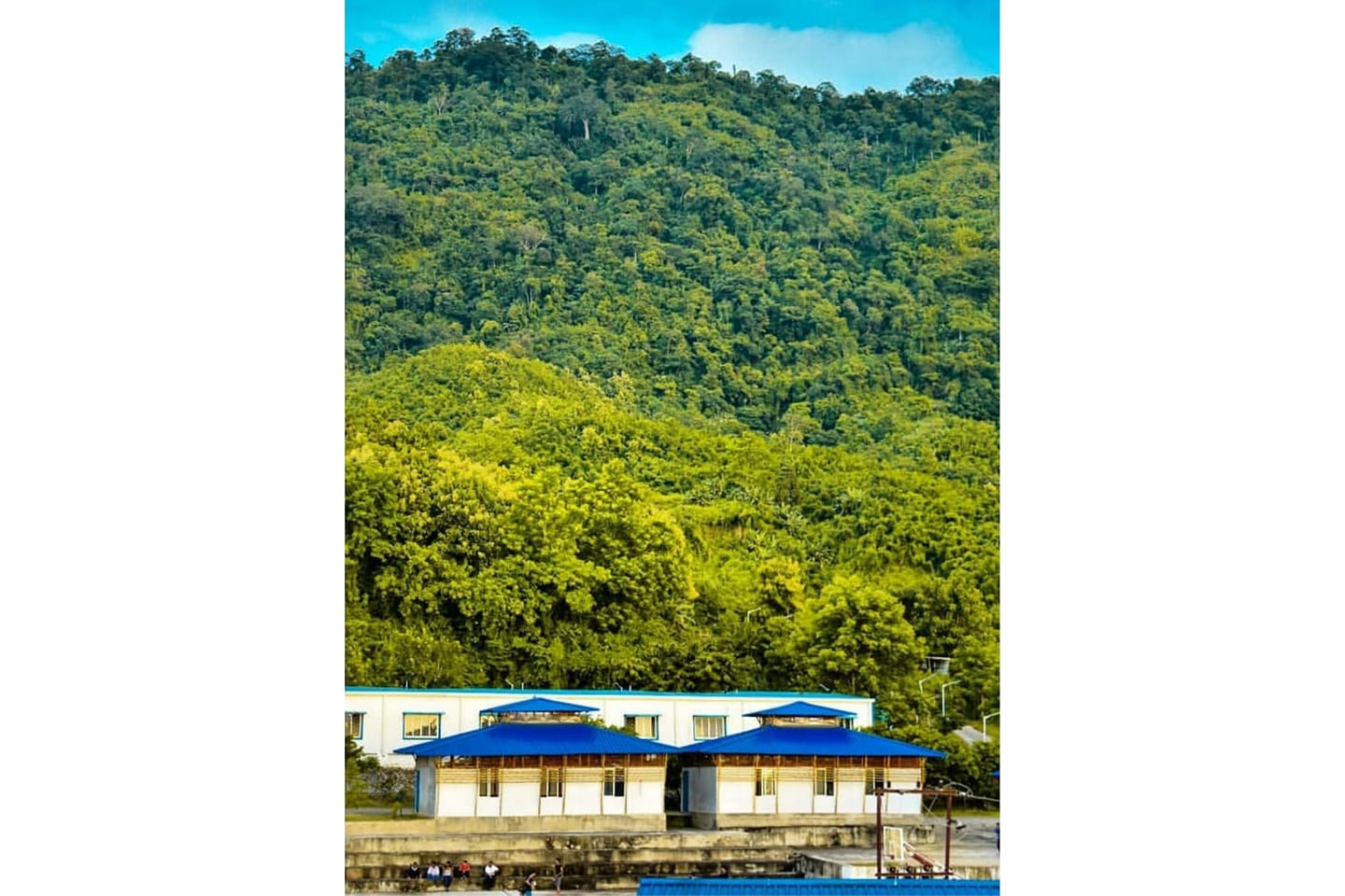 National Institute of Technology Dimapur: Fees, Admission 2025, Courses ...