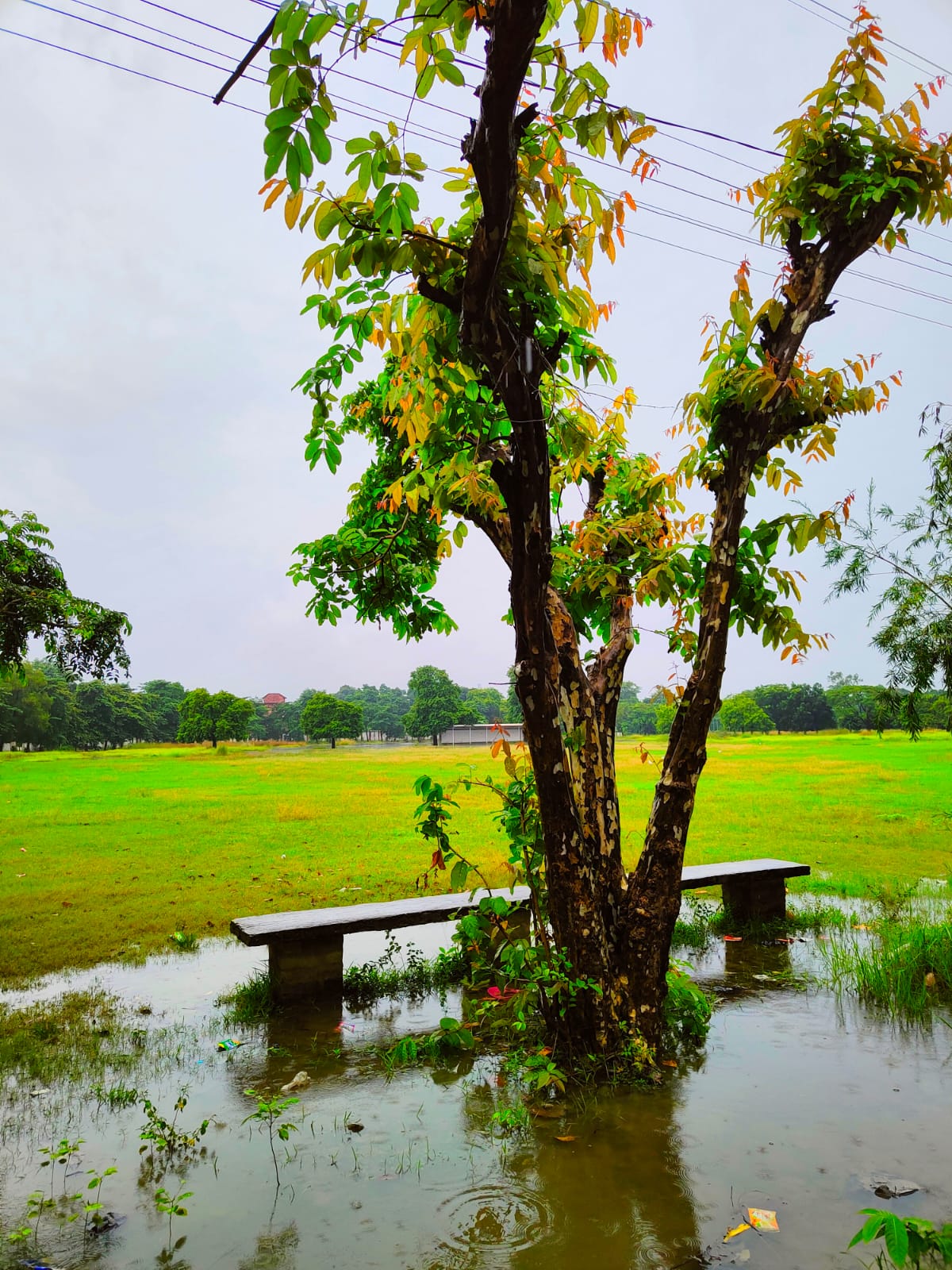 MIT Muzaffarpur: Fees, Admission 2025, Courses, Cutoff, Ranking, Placement