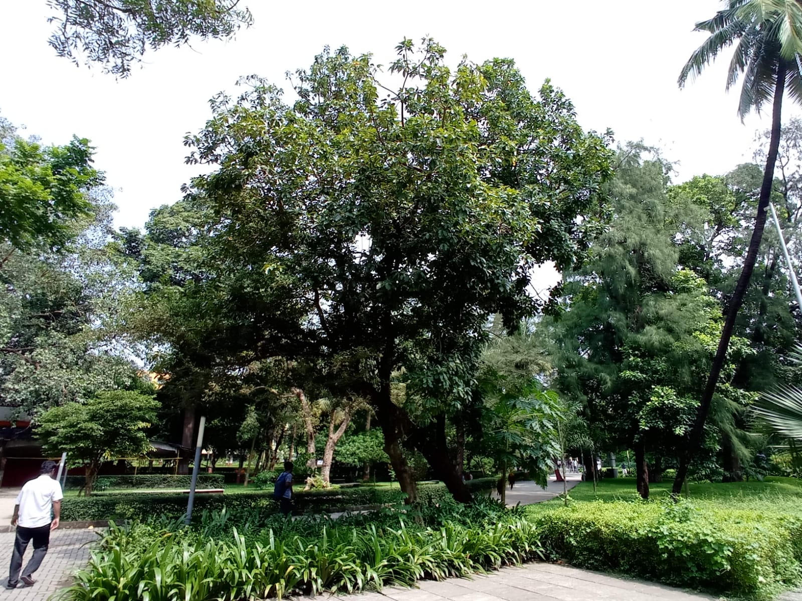 SPIT: Fees, Admission 2025, Courses, Cutoff, Ranking, Placement