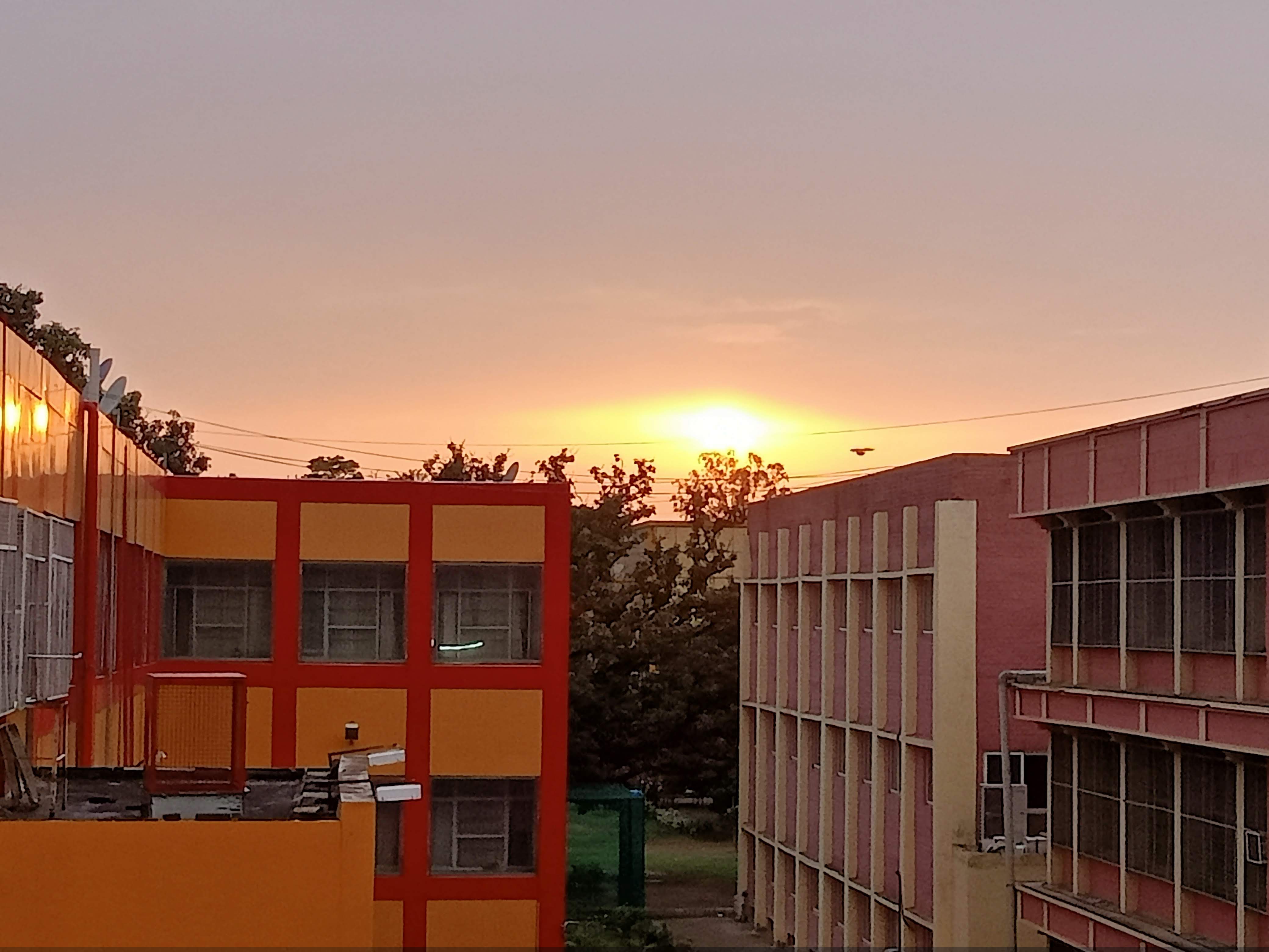 GGDSD Courses & Fees 2025